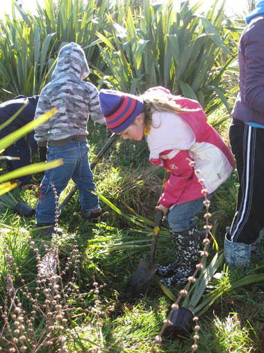 Restoration case studies • New Zealand Plant Conservation Network